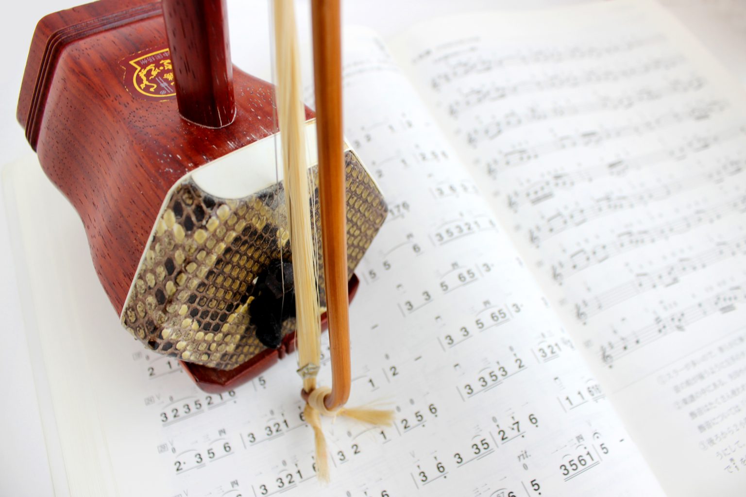 Why I Love the Erhu (With History, the Sound and Examples)